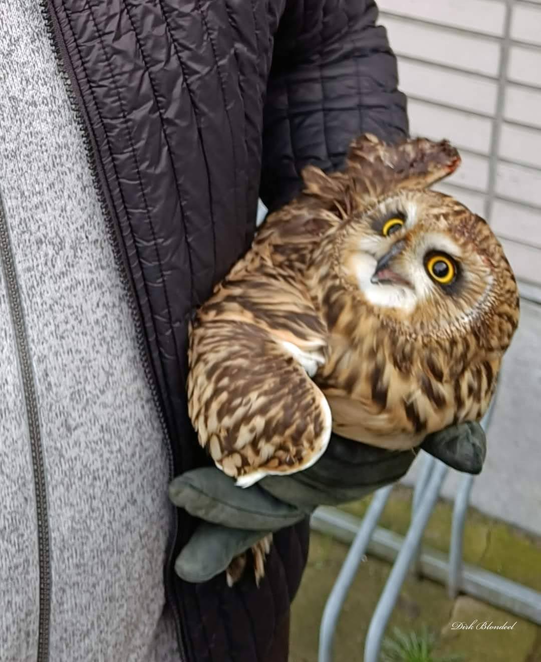 natuurnieuws